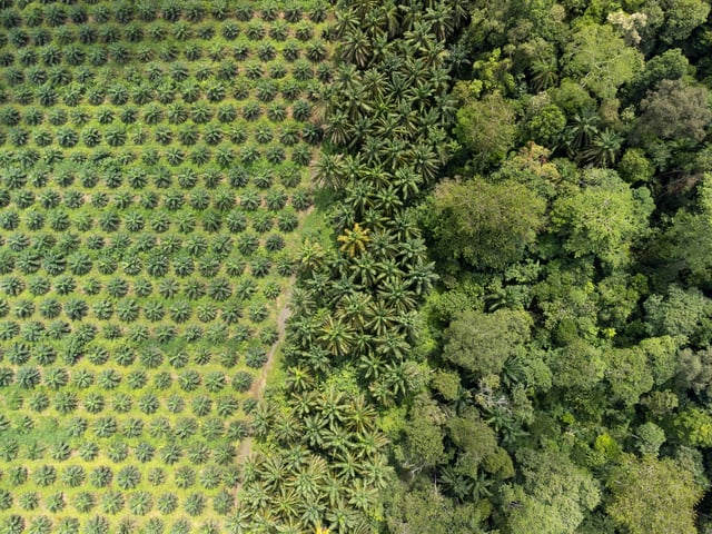 12 things you need to know about the Windsor Framework UKIM Scheme