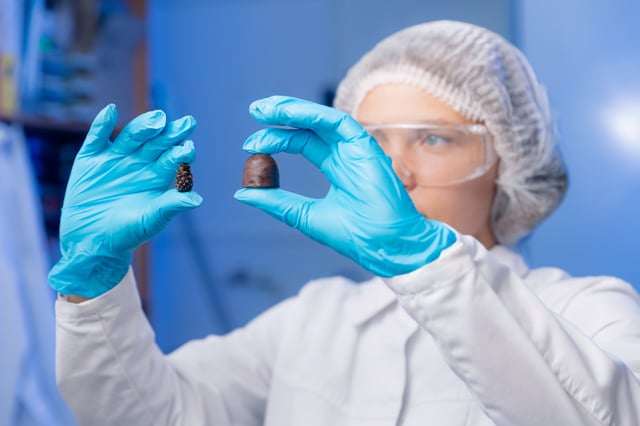 7 stages of new product development in the food industry