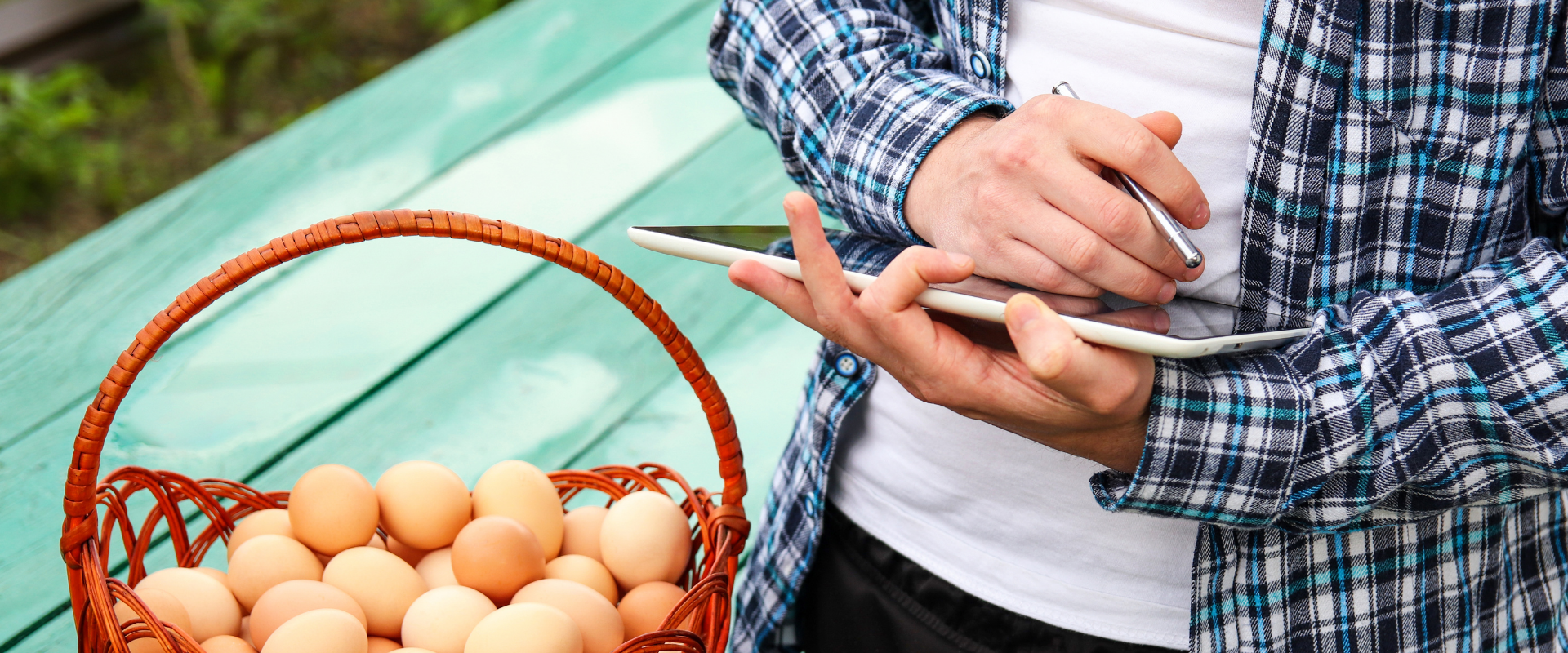 The future of food traceability software: what to expect in 2026