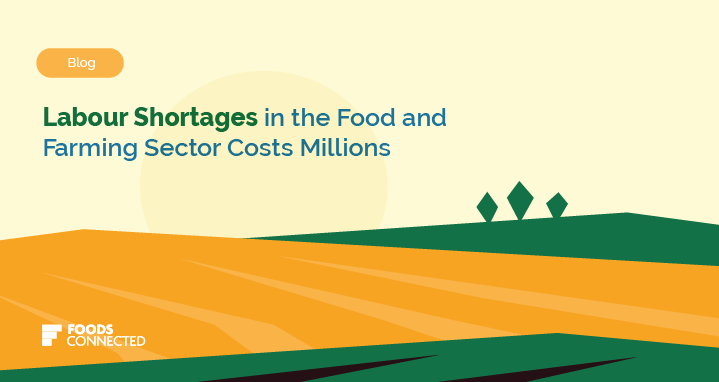 Are farm labour shortages still costing the food sector in 2023?